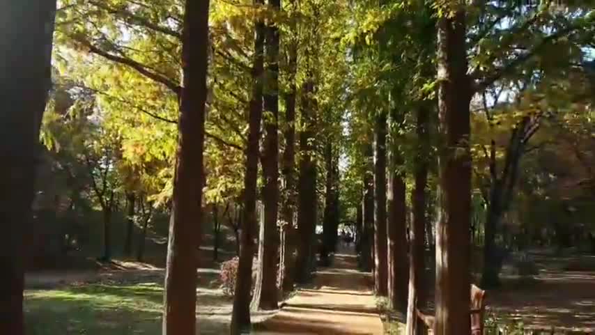 Learn korean with HJ_letslearnkorean - An korean tutor from italki